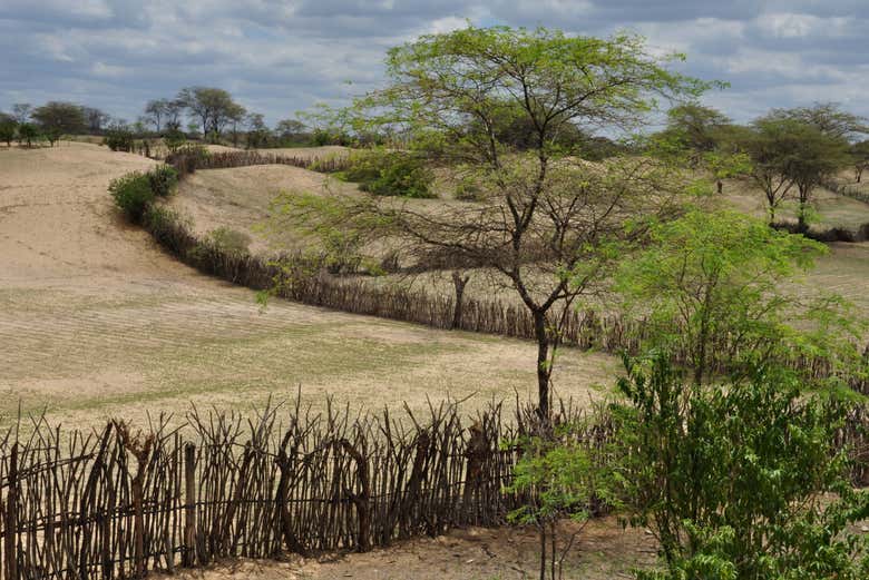 Excursión a Chulucanas y La Encantada desde Piura - Civitatis.com
