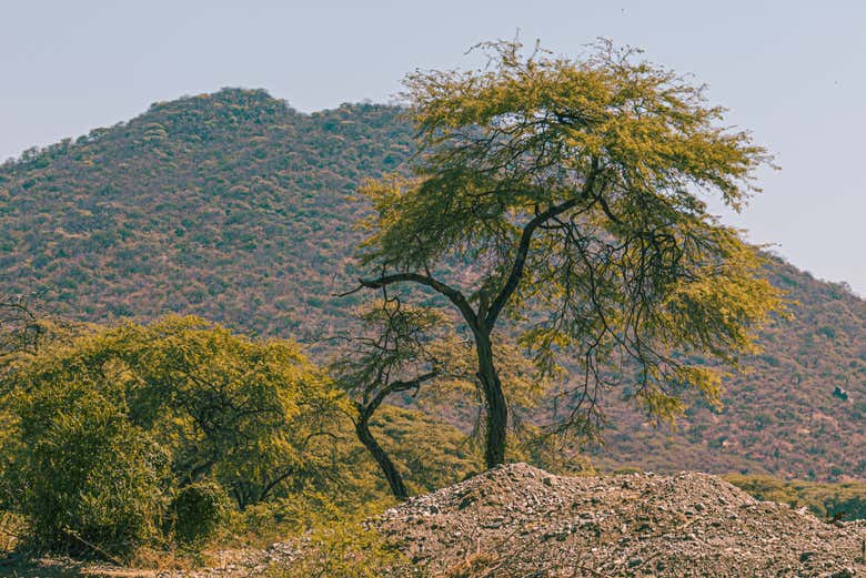 Excursión a Canchaque desde Piura - Reserva en Civitatis.com
