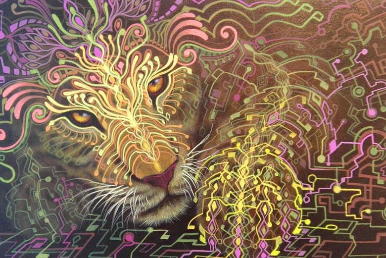 Tour of Pucallpa - Book Online at Civitatis.com