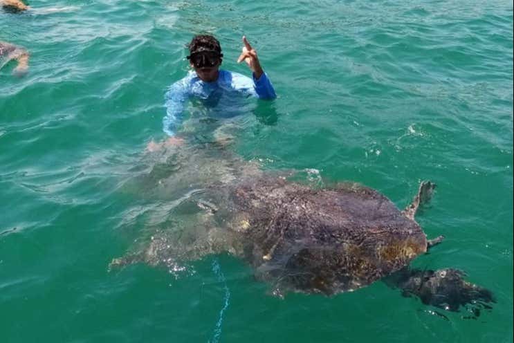 Swim with Turtles in Mancora from Punta Sal - Civitatis.com