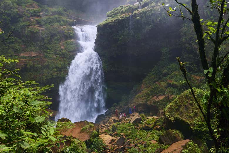 Perene Valley + Chanchamayo Waterfalls Tour from San Ramón