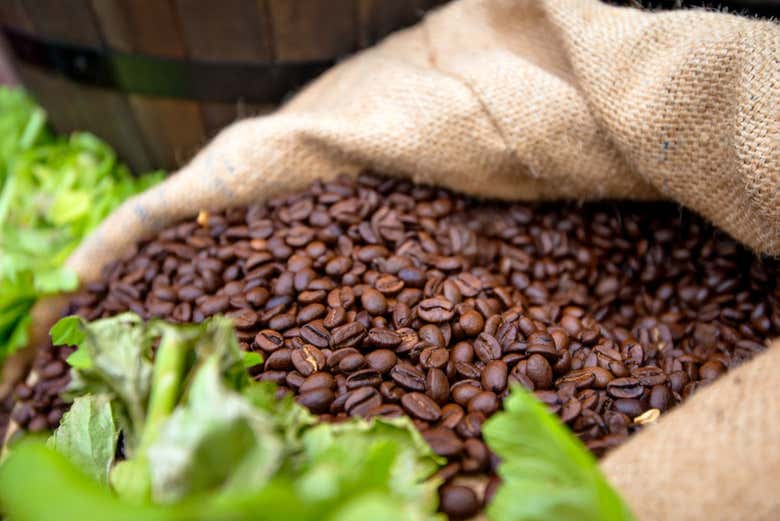 Rainforest Farm Organic Coffee Tour from San Ramón