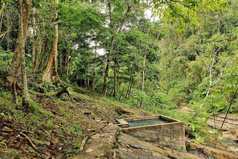 Excursión a Chazuta desde Tarapoto - Reserva en Civitatis.com