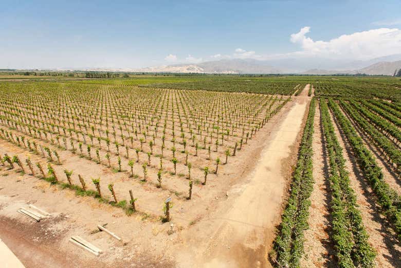 Excursión a Cascas desde Trujillo - Reserva en Civitatis.com