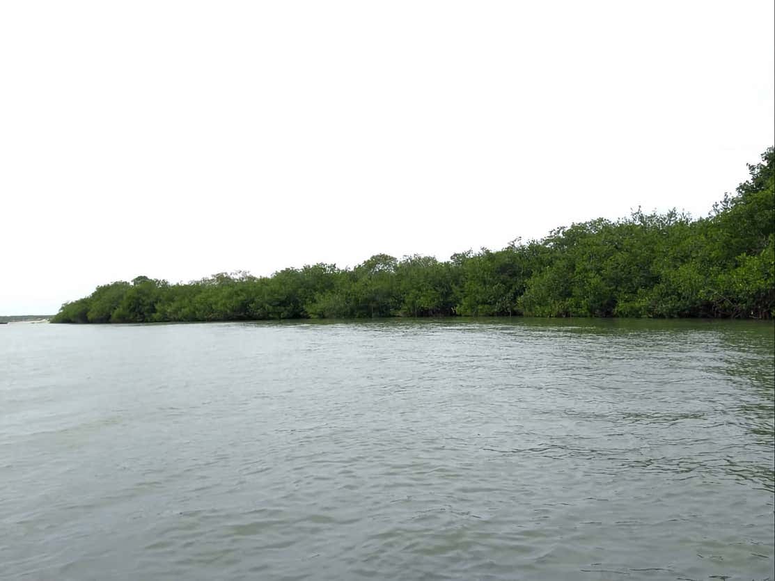 Tour por Tumbes + Paseo en lancha por los manglares