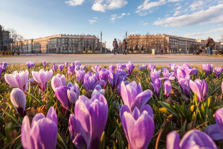 Free Tour of the Nowa Huta District, Krakow