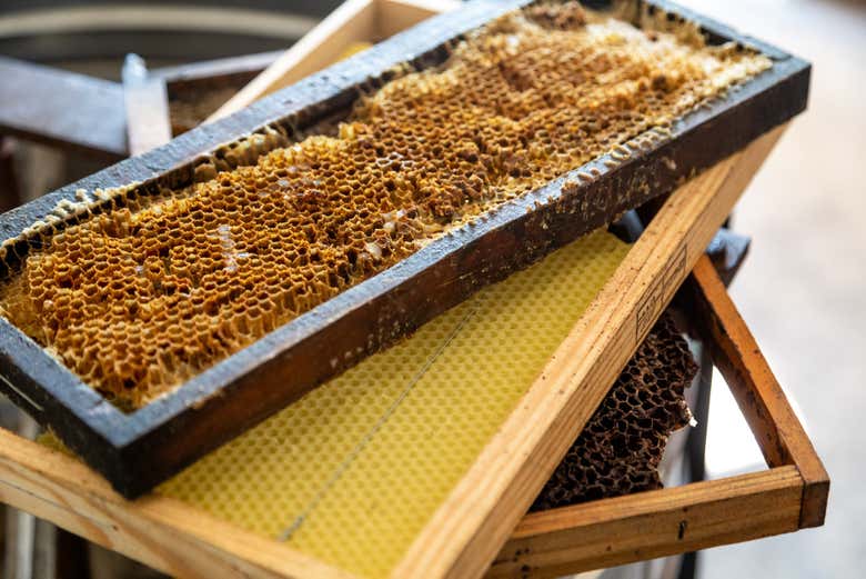 Tour en 4x4 por el Algarve en Lagos - Reserva en Civitatis.com