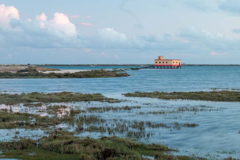 Ria Formosa Cruise from Fuzeta, Fuseta