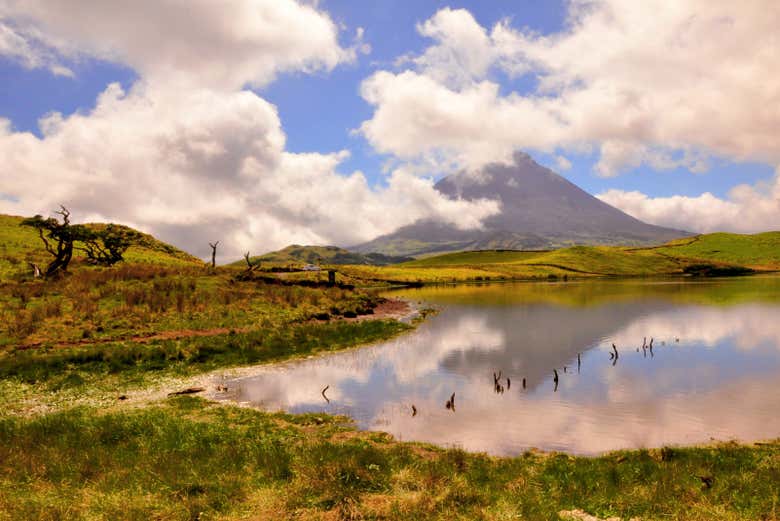 Excursión a la isla de Pico desde Horta - Civitatis.com