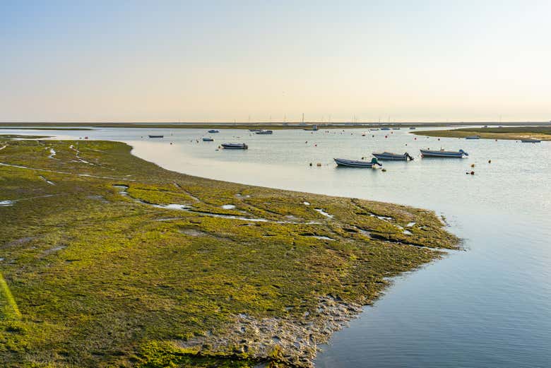 Ria Formosa Boat Tour from Olhao, Olhão