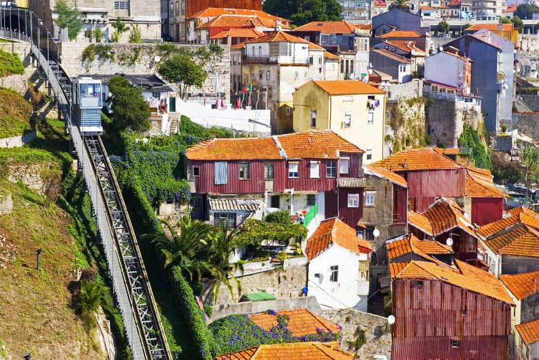 Ônibus e bonde turístico do Porto + Funicular dos Guindais