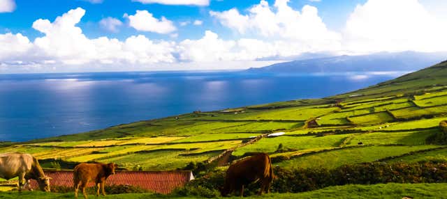 Excursión a la isla de Corvo desde Flores, Santa Cruz das Flores