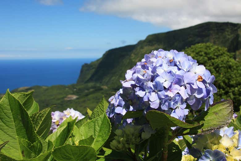 Full Tour of Flores Island, Santa Cruz das Flores