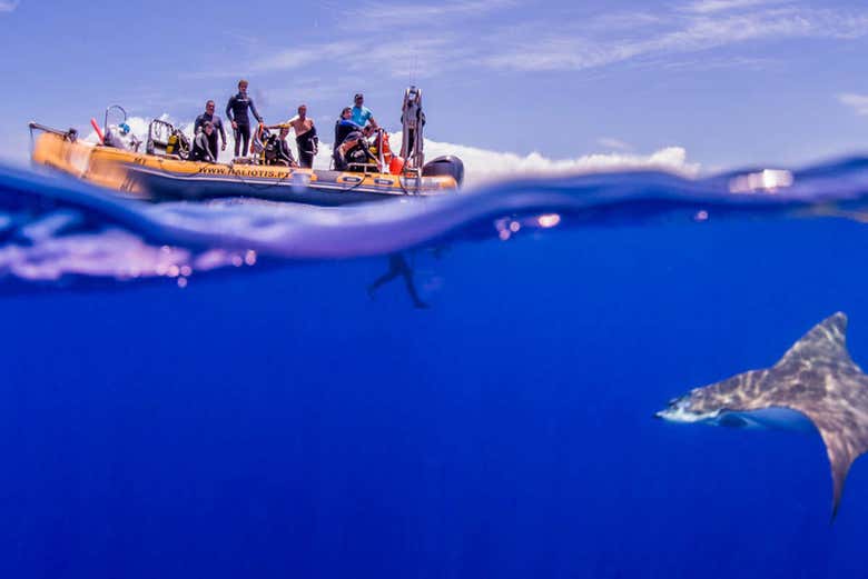 Beginner's Scuba Dive in Santa Maria, Vila do Porto