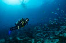 Excursiones, visitas guiadas y actividades en Azores - Civitatis