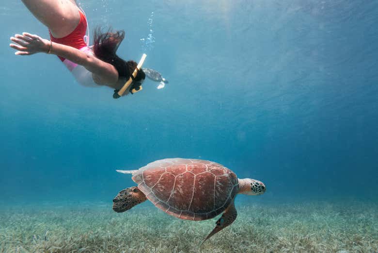Kayak y snorkel en Culebra desde Ceiba - Reserva en Civitatis.com