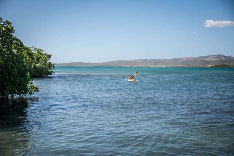 La Parguera Kayak Rental - Book Online at Civitatis.com