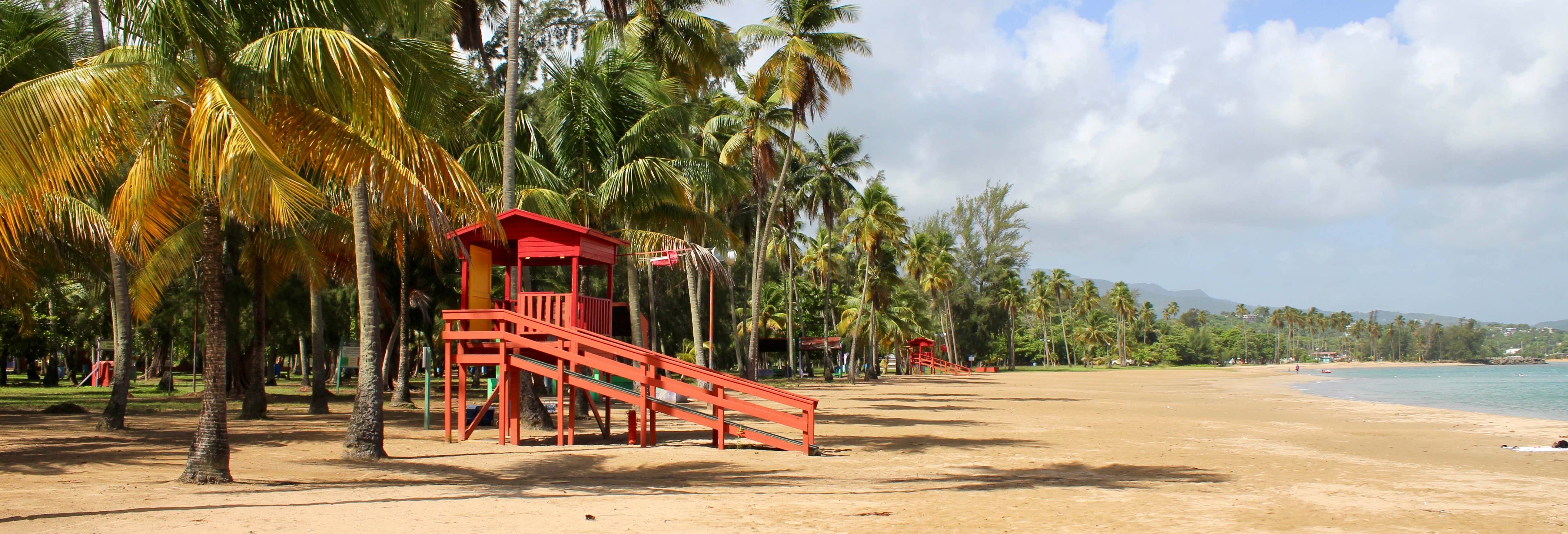 Excursiones, visitas guiadas y actividades en Luquillo - Civitatis