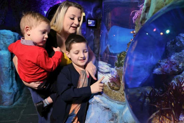 Blackpool BIG Ticket: Entrance to Blackpool Tower Attractions