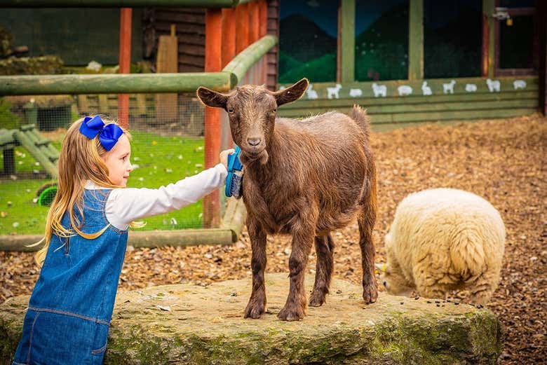 Chessington World of Adventures Resort Entrance Ticket