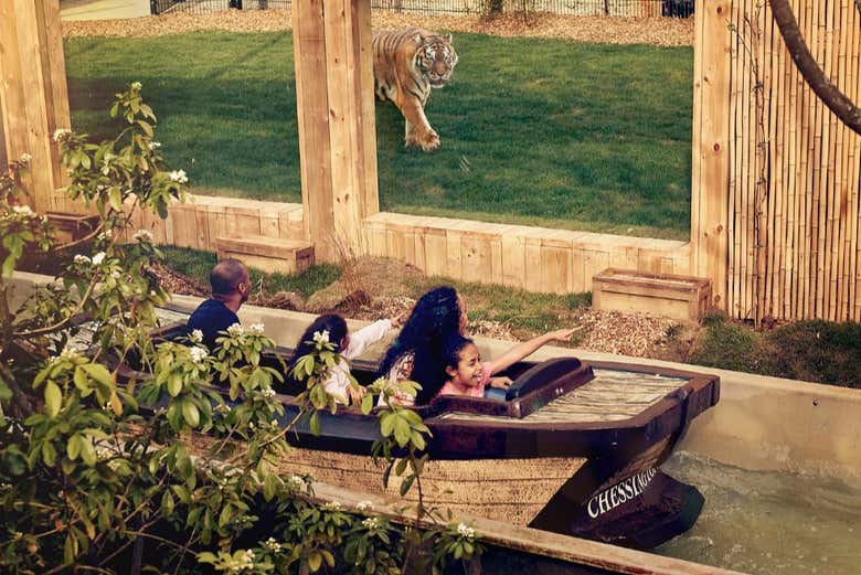 Chessington World of Adventures Resort Entrance Ticket