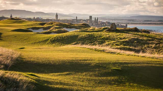 Excursiones, visitas guiadas y actividades en Saint Andrews