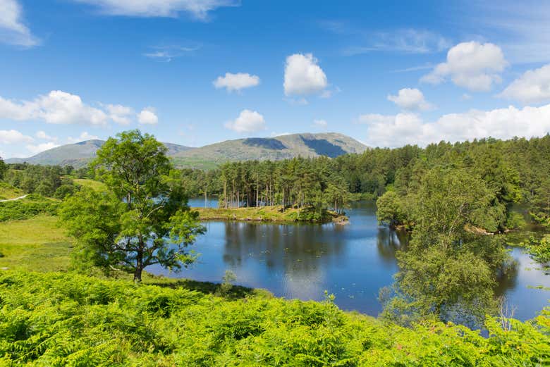 Beatrix Potter Lake District Tour from Windermere - Civitatis.com