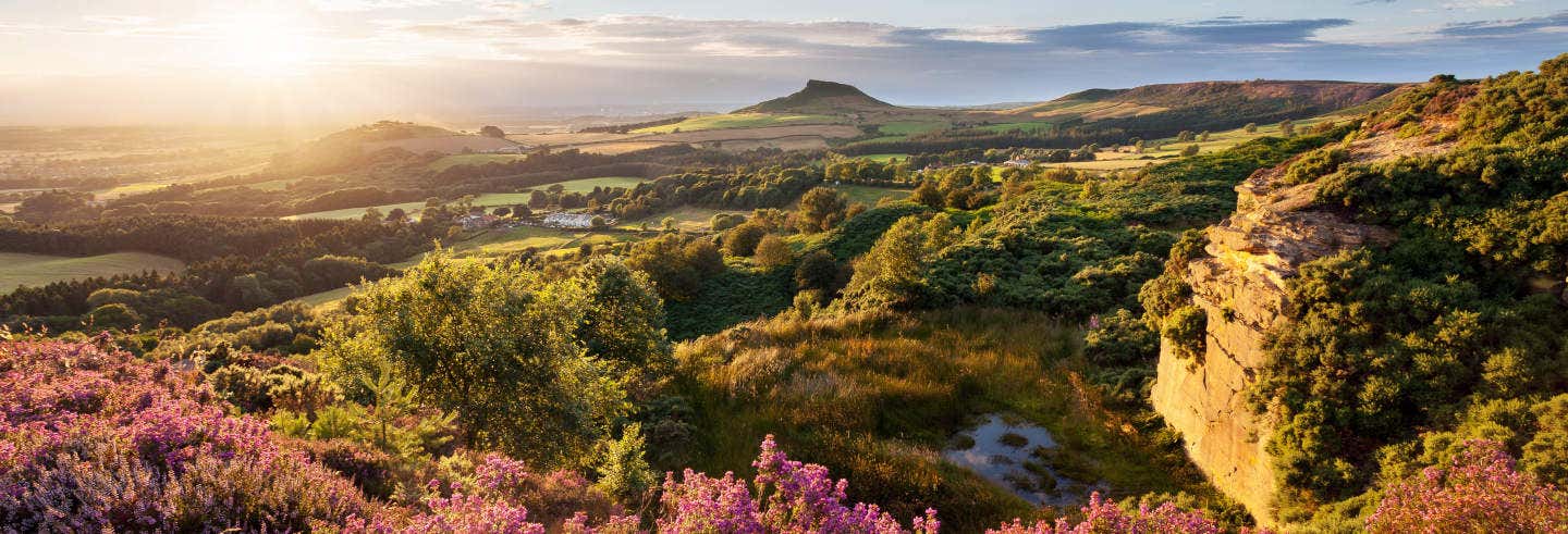 North York Moors Park & Whitby Day Trip - Book at Civitatis.com