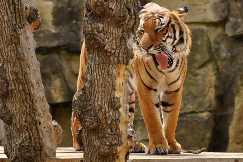 Paseo en barco + Entrada al zoo de Praga - Civitatis.com