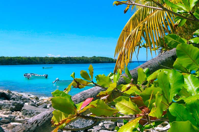Excursión a Isla Catalina con snorkel desde Juan Dolio