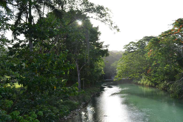 Jamao al Norte Horse Riding Activity from Puerto Plata