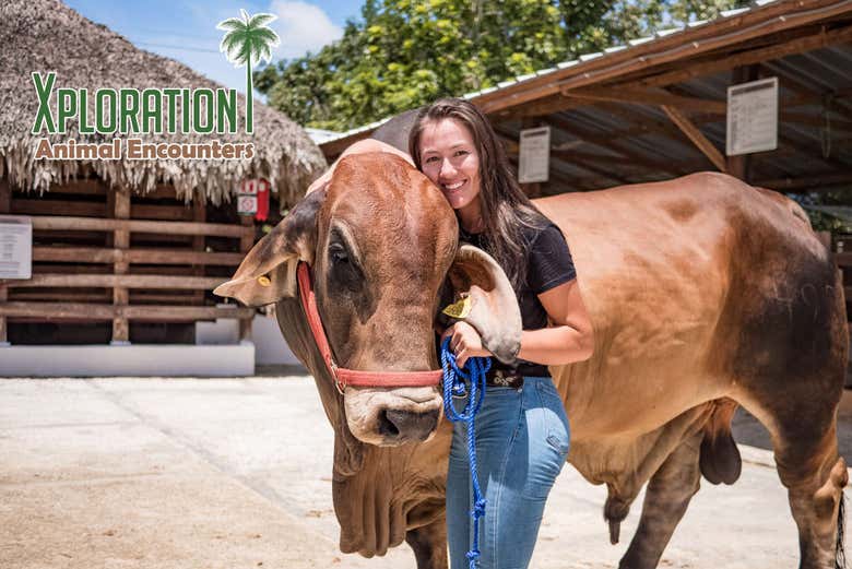 Eco Park Punta Cana Trip from Punta Cana - Book at Civitatis.com