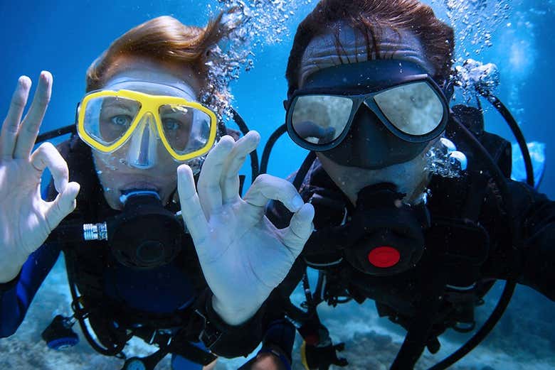 Excursión a Isla Saona + Buceo y snorkel desde Punta Cana