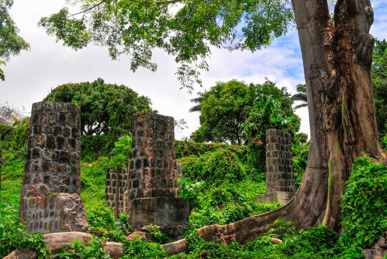 Nevis Island Excursion from Saint Kitts, Basseterre