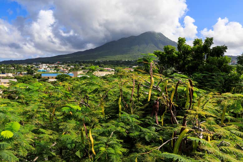 Nevis Island Excursion from Saint Kitts, Basseterre