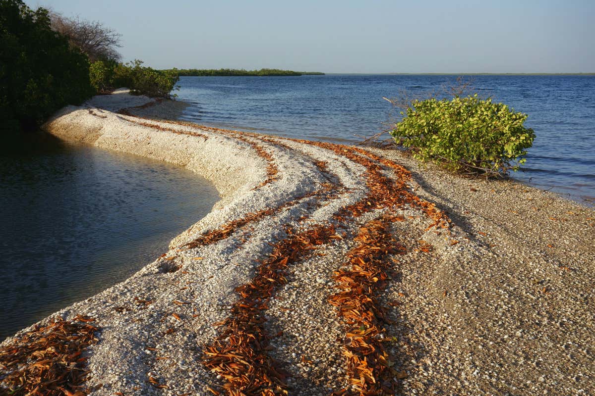 Escursione privata al Delta del Saloum da Dakar - Civitatis.com