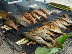 Gastronomía de Seychelles - Platos típicos y comida en Seychelles