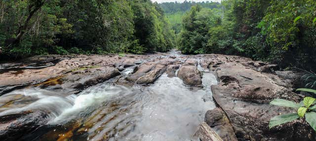 Kitulgala Rafting Tour - Book Online at Civitatis.com