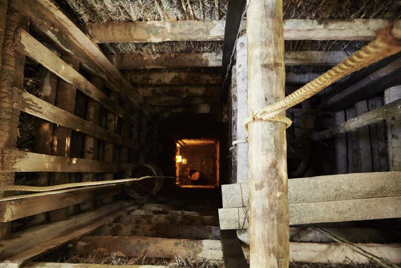 Galle Day Trip, Negombo