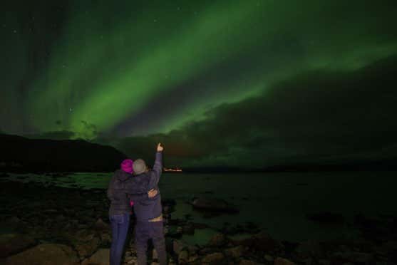 Abisko National Park Northern Lights Tour - Book at Civitatis.com