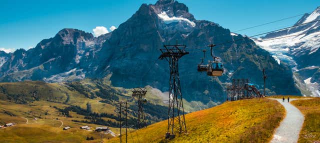 First Mountain Cable Car & Cliff Walk Ticket from Grindelwald, Grindelwald