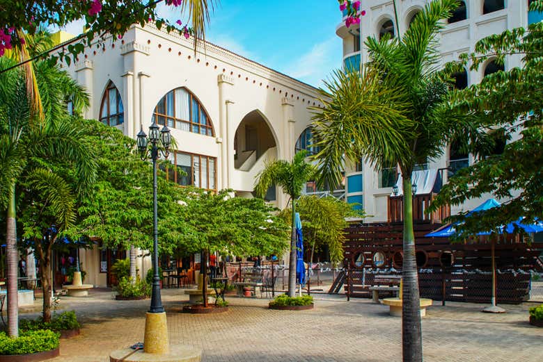 Dar es-Salam Private Tour, Dar es Salaam