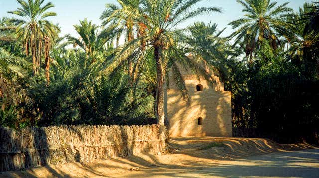 Activities, Guided Tours and Day Trips in Tozeur - Civitatis.com