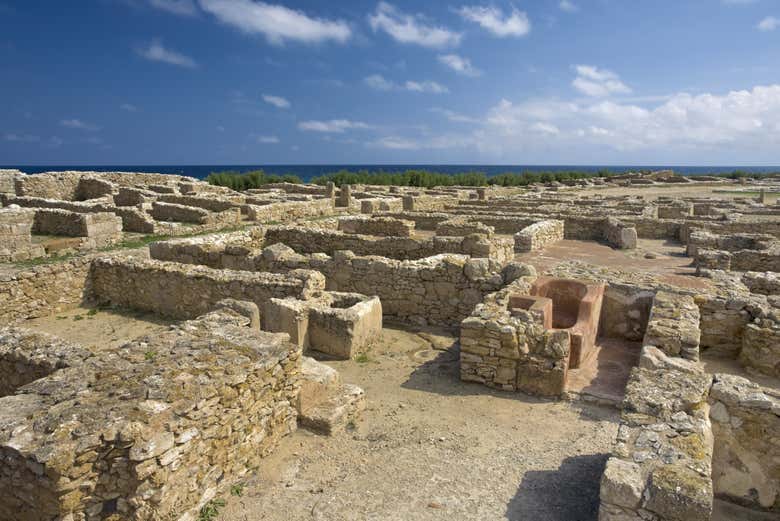 Excursión a la península del Cabo Bon desde Túnez