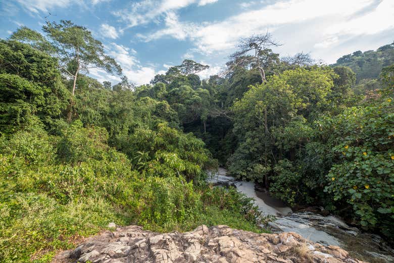 Day Trip to the Source of the Nile River from Kampala