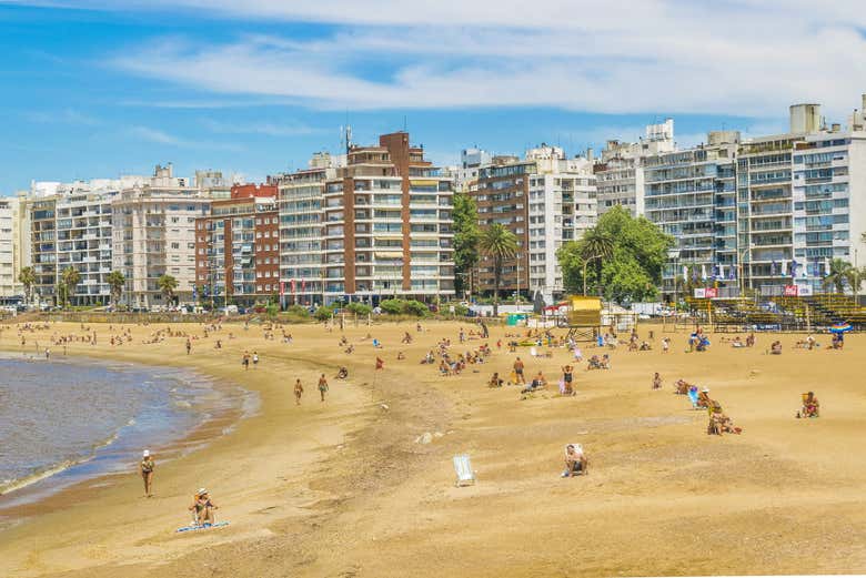 Tour panorámico por Montevideo - Reserva online en Civitatis.com