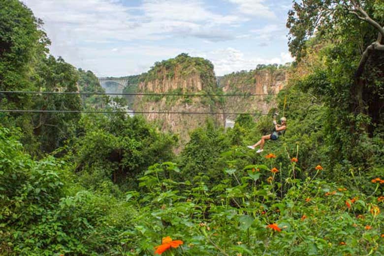 Victoria Falls Zipline - Book Online at Civitatis.com