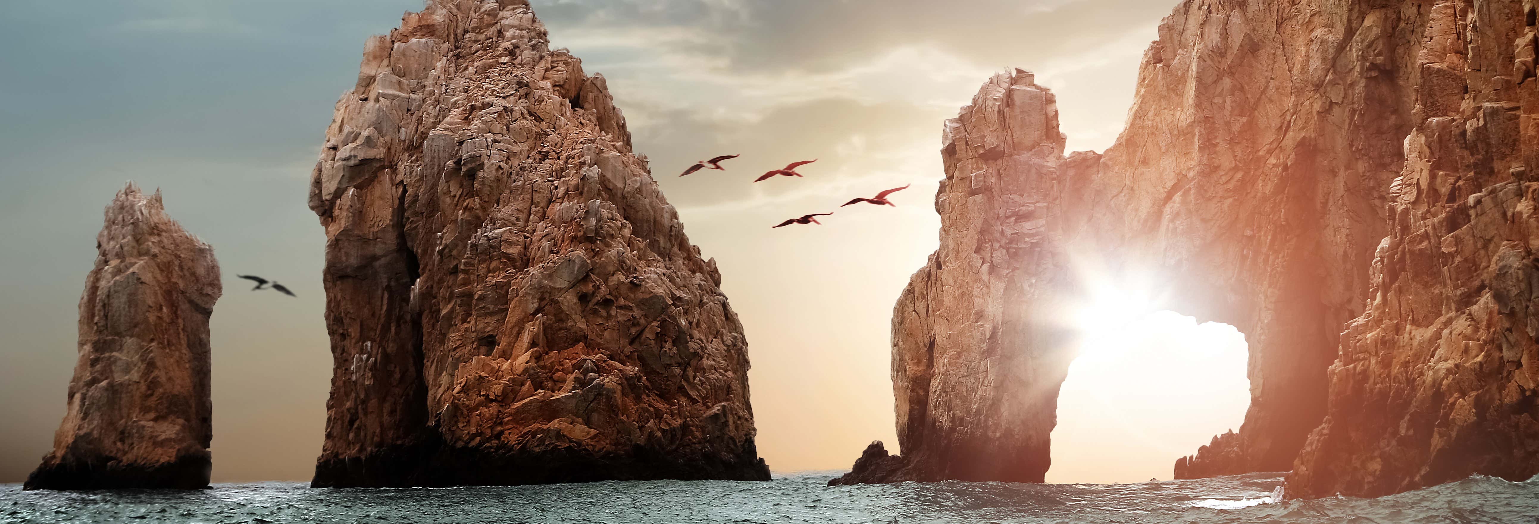 Activities, Guided Tours and Day Trips in Baja California Sur